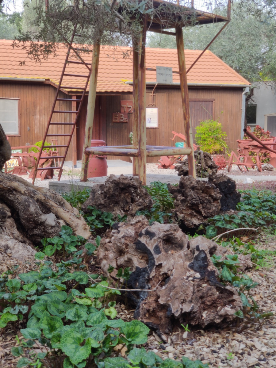 agritour kibbutz magal - Tours - Innovative Israeli experience